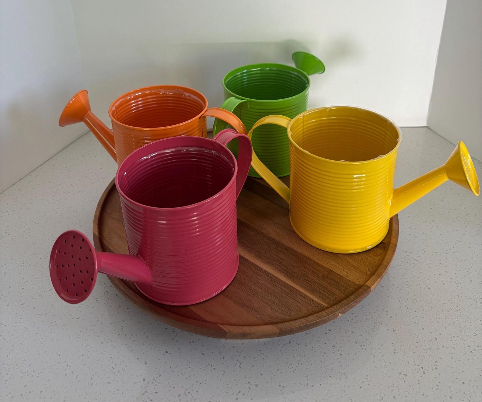 Spring Summer Dark Color Watering Can Planter - Set of 2 - Etsy