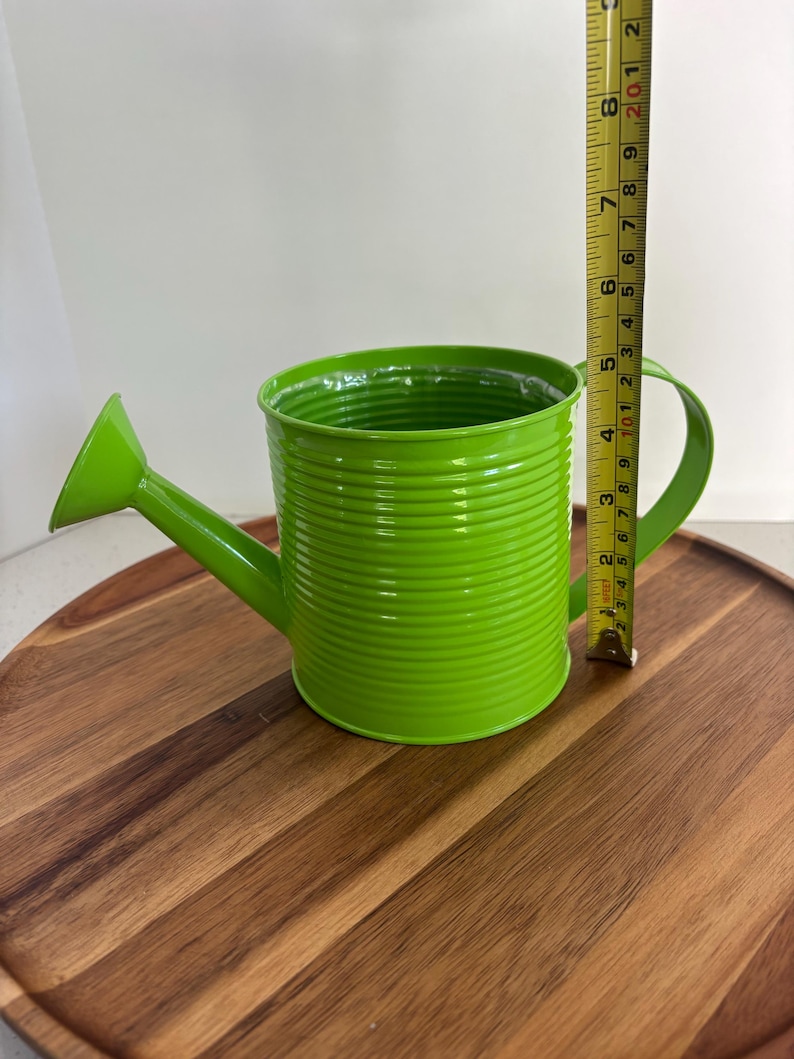 Spring Summer Dark Color Watering Can Planter - Set of 2 - Etsy