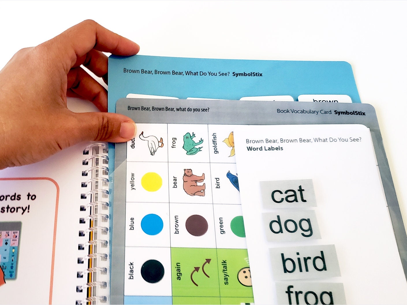 Brown Bear What Do You See James Martin Eric Carle Interactive Adapted ...