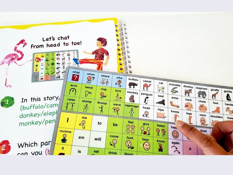 From Head to Toe Eric Carle Interactive Adapted Children's Book ...