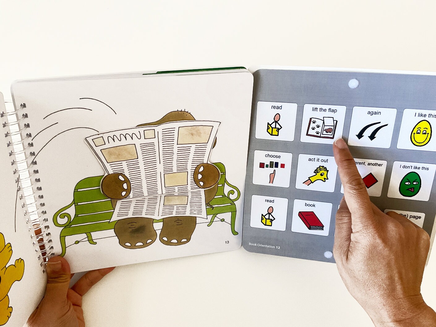 Spot Goes to the Park Eric Hill Adapted Children's Book Disability ...