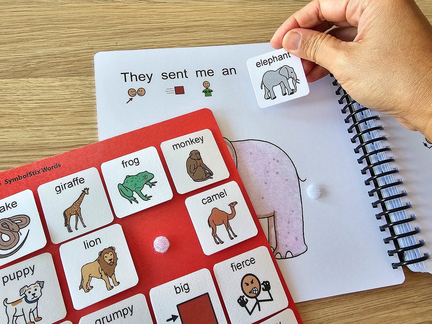 Dear Zoo Road Campbell Adapted Children's Book Disability Learning ...