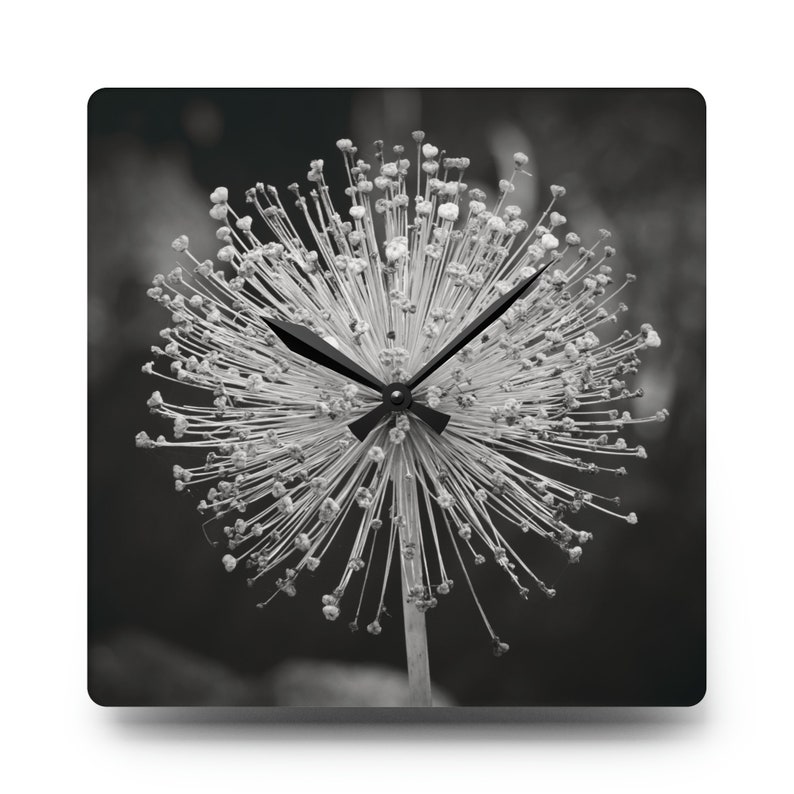 Dandelion Black and White Square Wall Clock, Silent Clock, Office Decor ...