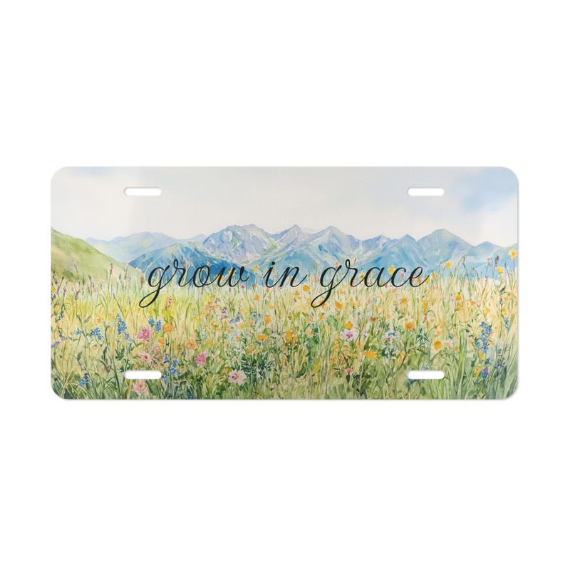 Bible License Plate - Etsy