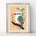 Australian Native Birds Illustrations Art Prints, Set of 3 Prints ...
