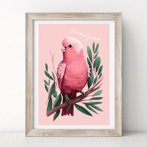 Australian Native Birds Illustrations Art Prints, Set of 3 Prints ...