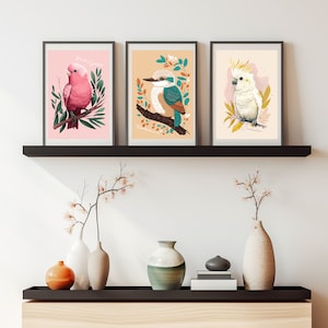 Australian Native Birds Illustrations Art Prints, Set of 3 Prints ...
