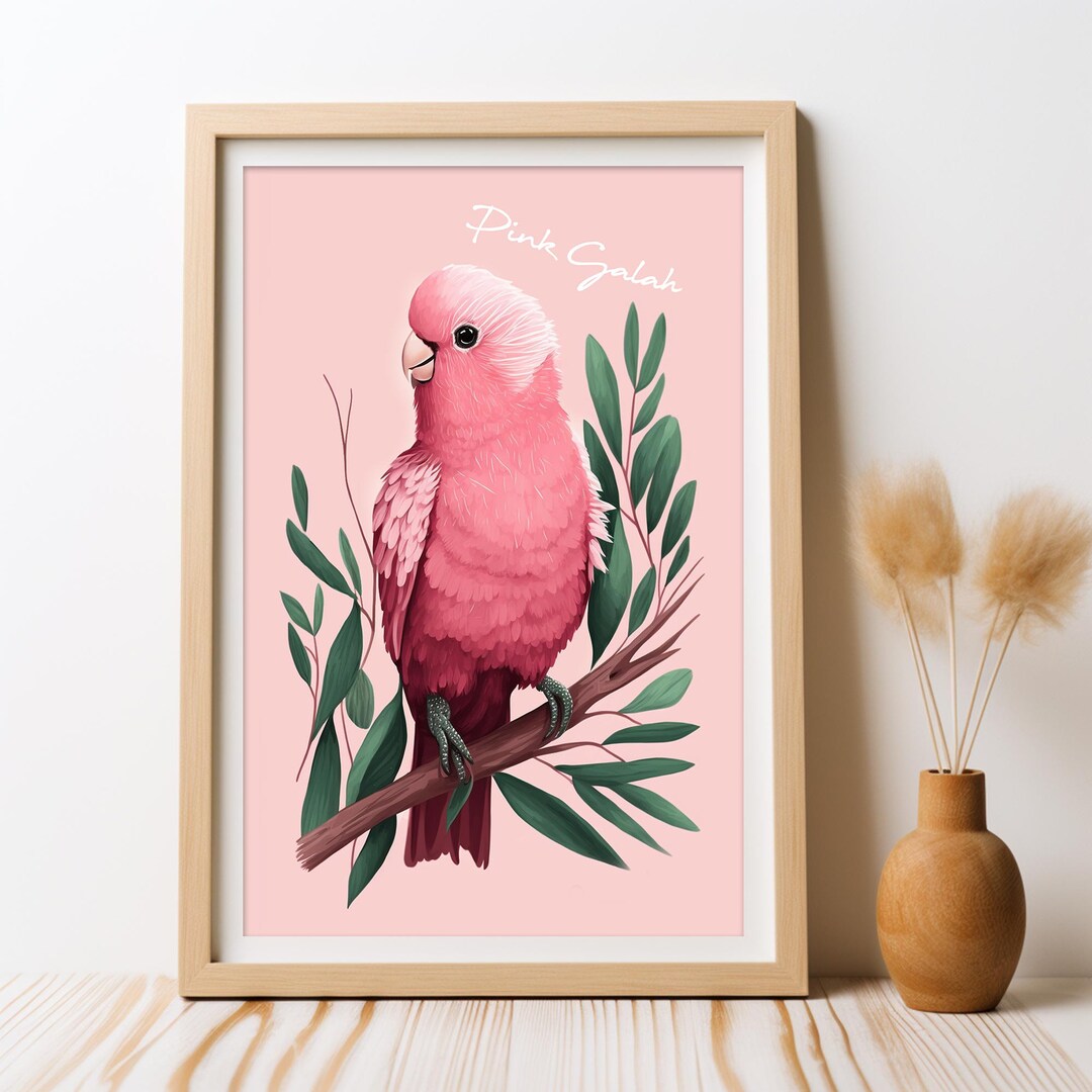 Pink Galah Australian Bird Illustration Style Digital Art Print, Wall ...