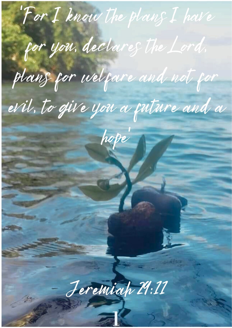 Christian Wall Art Jeremiah 29:11 - Etsy