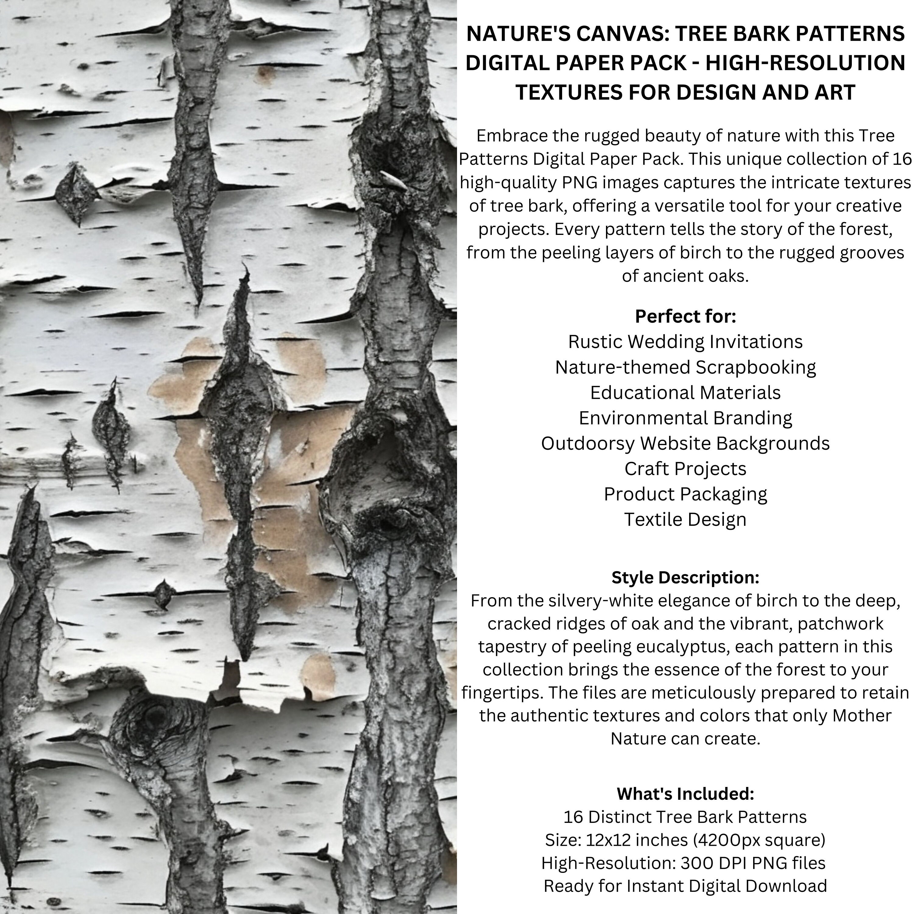 Tree Bark Digital Paper Clipart - 16 High-resolution Textures Patterns ...