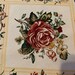 Rose Garden From Marti Michell and Maywood Studio Fat Quarter - Etsy