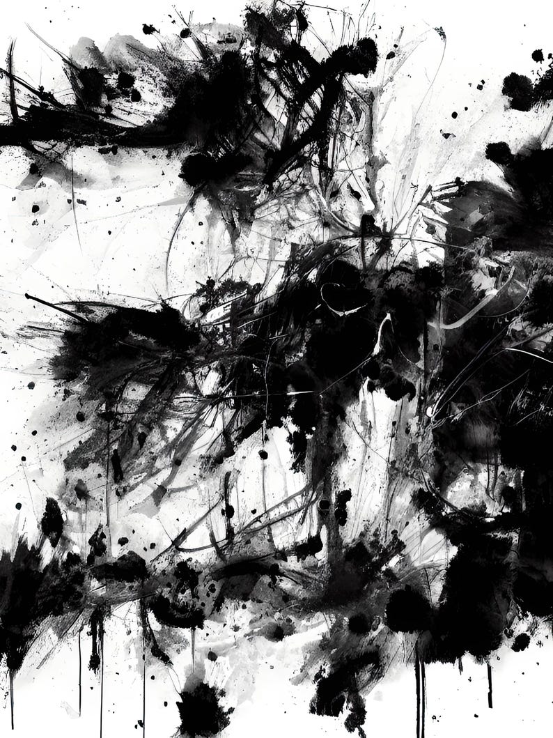 4543 -- Abstract Black and White Dynamic Expressive Splatter Chaos ...