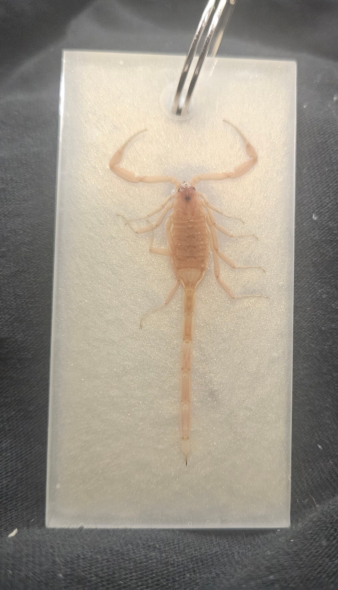 Arizona Bark Scorpion Keychain - Etsy