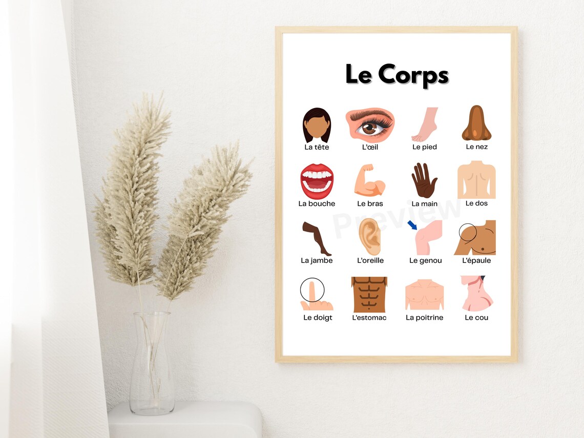 French Body Part Vocabulary Poster, French Classroom Wall Art, Learn ...