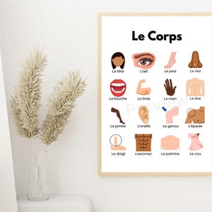 French Body Part Vocabulary Poster, French Classroom Wall Art, Learn ...