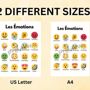 French Emotions Poster Art, French Wall Decor, Bilingual Homeschooling ...