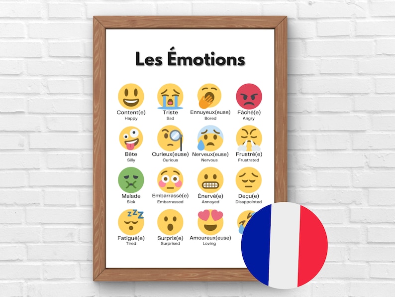 French Emotions Poster Art, French Classroom Wall Decor, Bilingual ...