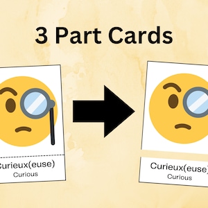 French Emotion Flashcards, French Adjective Vocabulary, Homeschooling ...