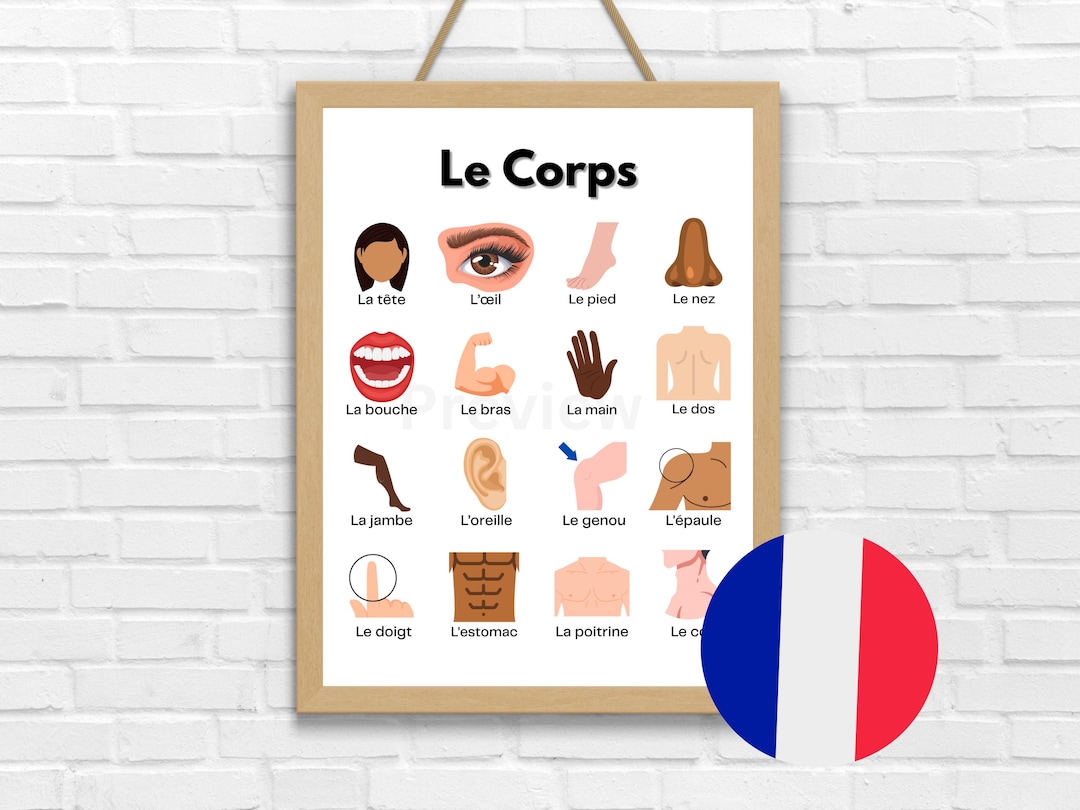 French Body Part Vocabulary Poster, French Classroom Wall Art, Learn ...