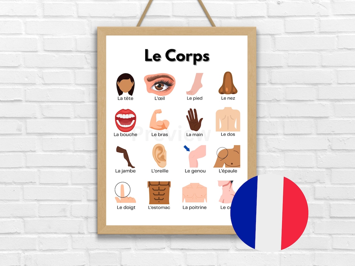 French Body Part Vocabulary Poster, French Classroom Wall Art, Learn ...