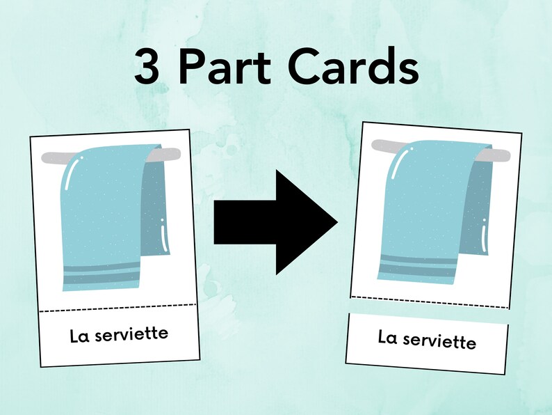 French Washroom Flashcards, French Bathroom Vocabulary, Homeschooling ...