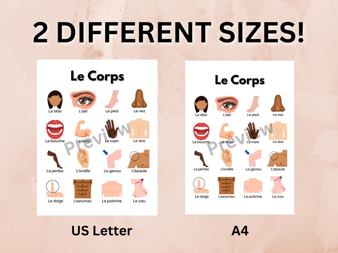 French Body Part Vocabulary Poster, French Classroom Wall Art, Learn ...