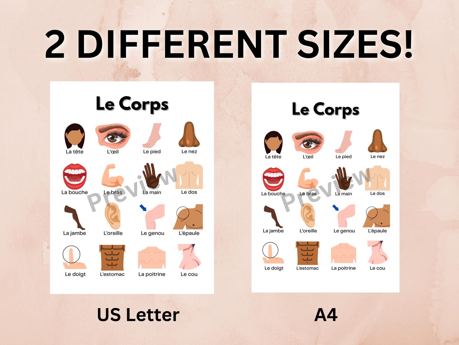 French Body Part Vocabulary Poster, French Classroom Wall Art, Learn ...