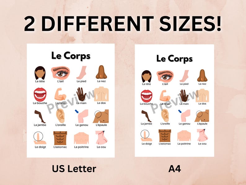 French Body Part Vocabulary Poster, French Classroom Wall Art, Learn ...