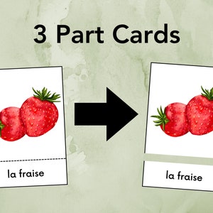 French Fruits & Vegetable Flashcards, French Flashcards for Kids ...