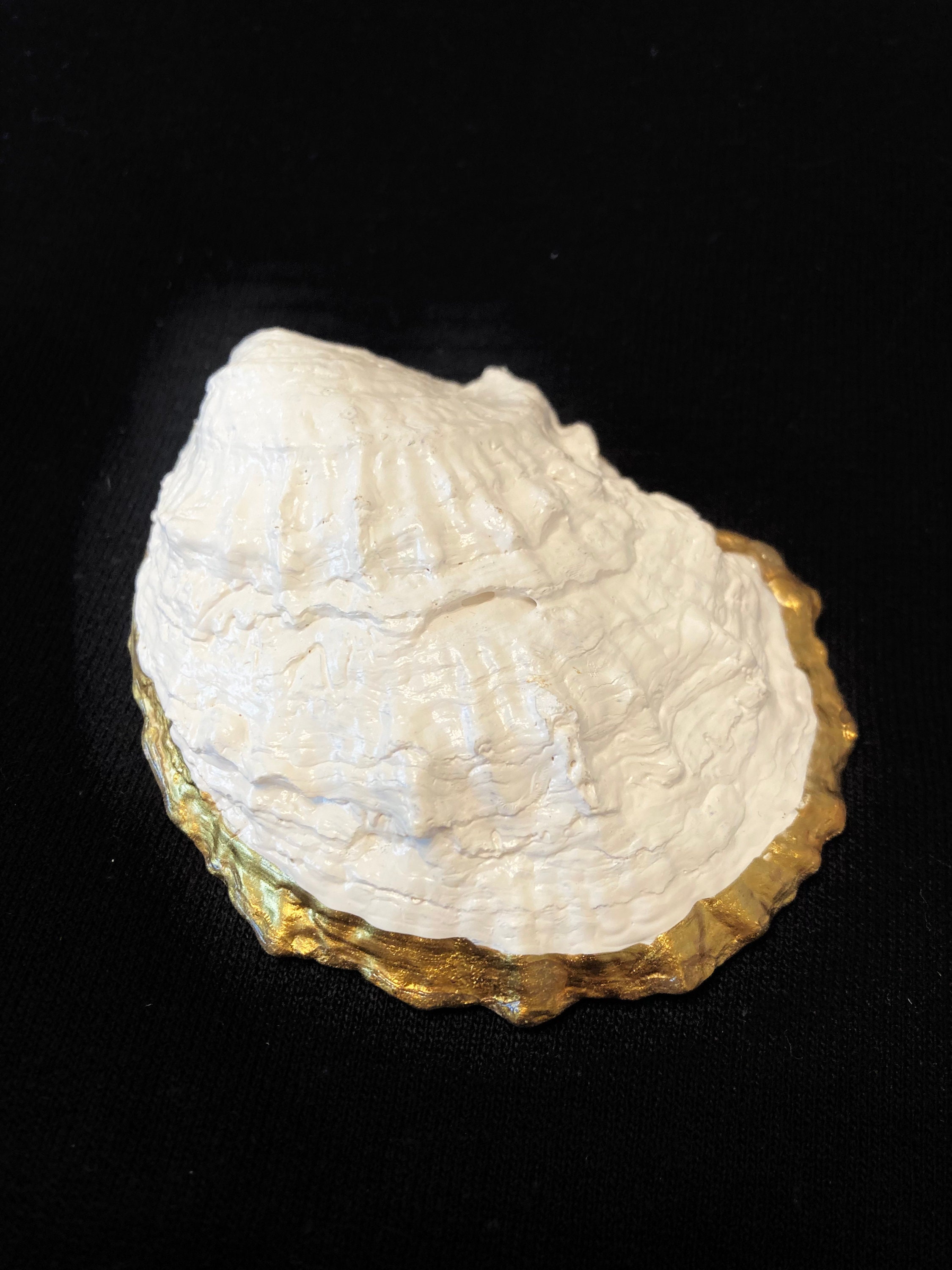 Oyster Shell Ring Dish, Monstera Palm Leaf Gift for Her, Shell Jewelry ...