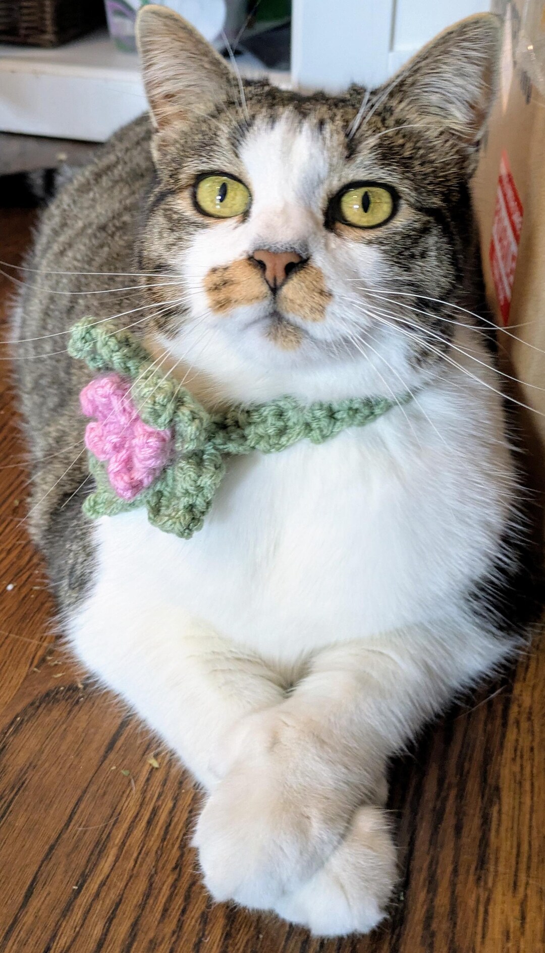 Pink Petunia Cat Collar - Etsy