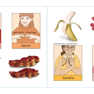 Food Signs: Sign Language Flip Charts - Etsy