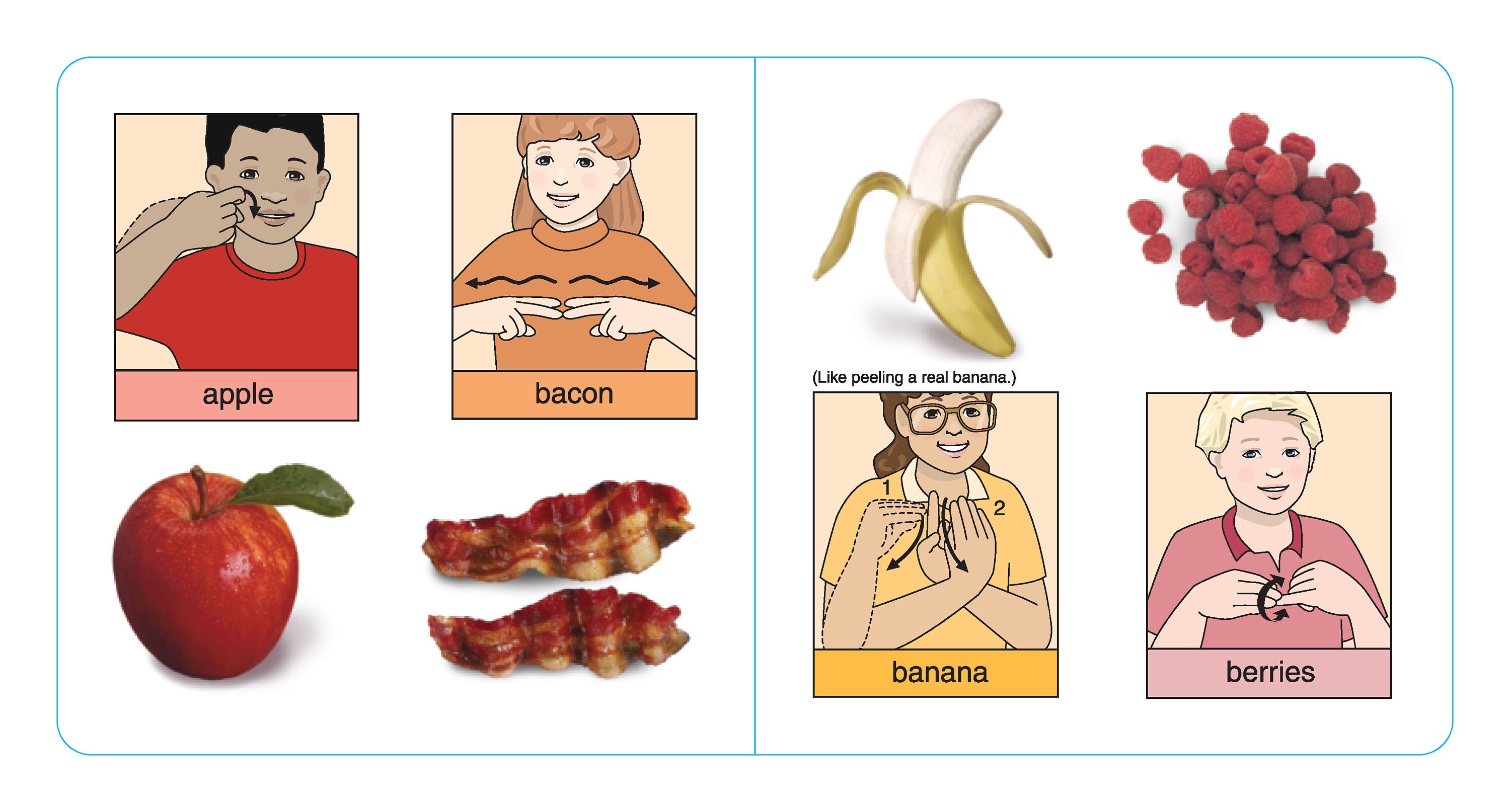 Food Signs: Sign Language Flip Charts - Etsy