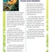Finding Nemo: Reading Comprehension - Non Fiction - Main Idea ...