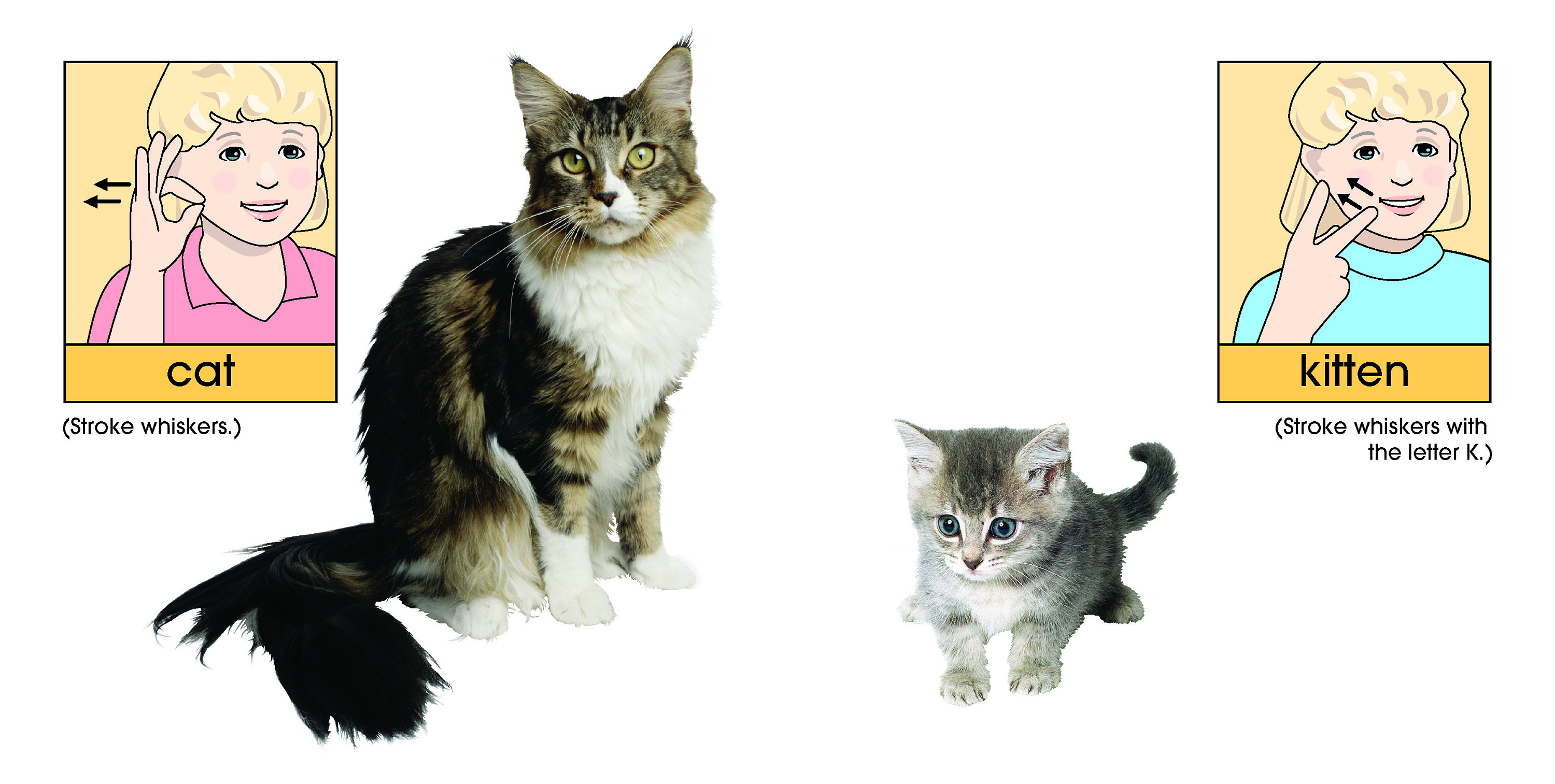 Signs for Pets and Animals: Early Sign Language - Etsy