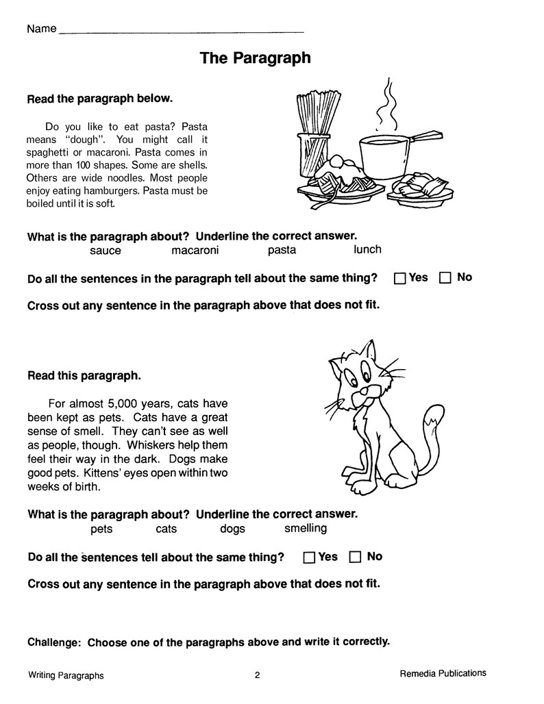 WRITING PARAGRAPHS: Step-by-step Lessons - Etsy