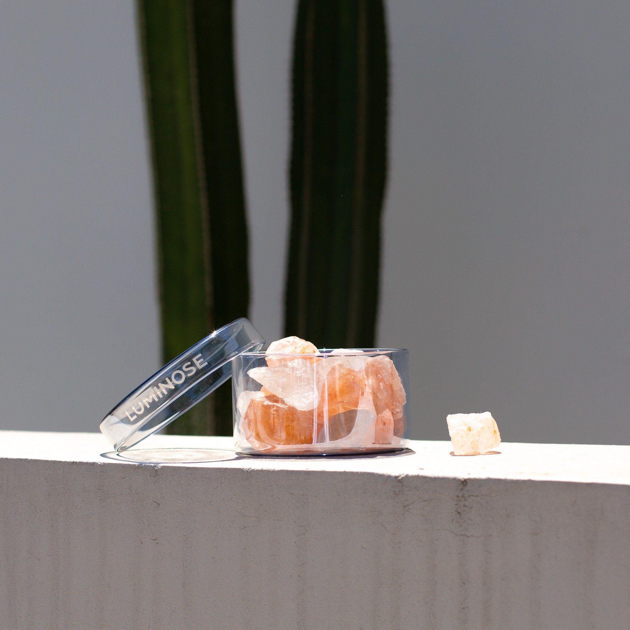 Blank Verse Natural Crystals and Essential Oil Diffuser Set Himalayan ...