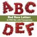 Red Rose A-Z Alphabet Letters, 26 PNG Files With Transparent ...