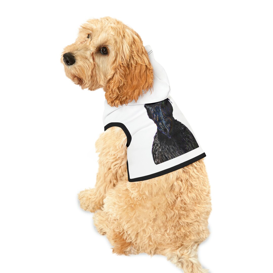 Funny Pet Vest-sly Bird (dark) Pet Vest-dog/cat Outdoor Vest - Etsy