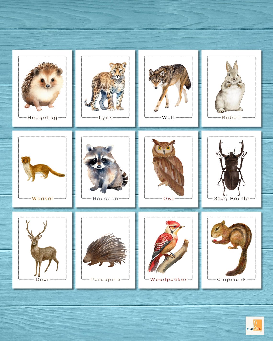 Printable Woodland Animal Flashcards for Kids | Montessori Forest ...