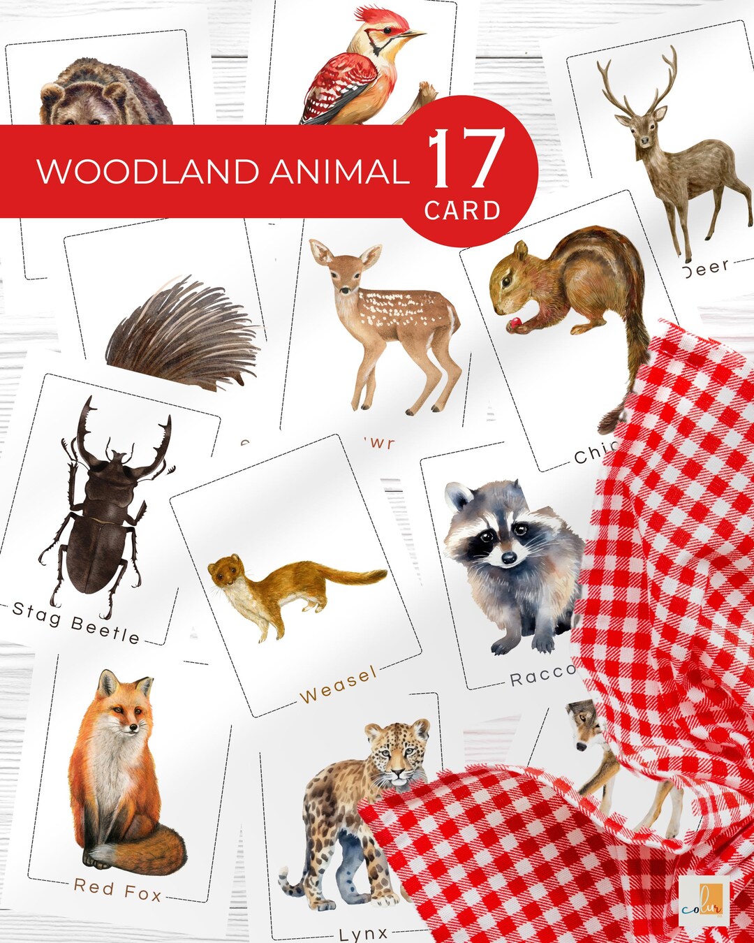Printable Woodland Animal Flashcards for Kids | Montessori Forest ...