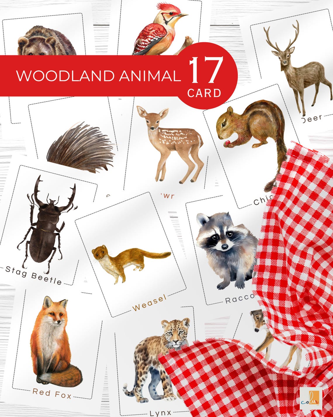 Printable Woodland Animal Flashcards for Kids | Montessori Forest ...