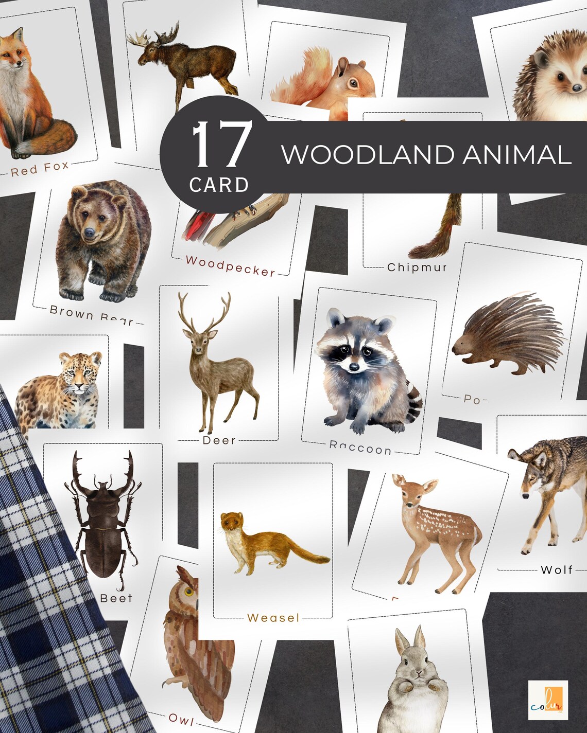 Printable Woodland Animal Flashcards for Kids | Montessori Forest ...