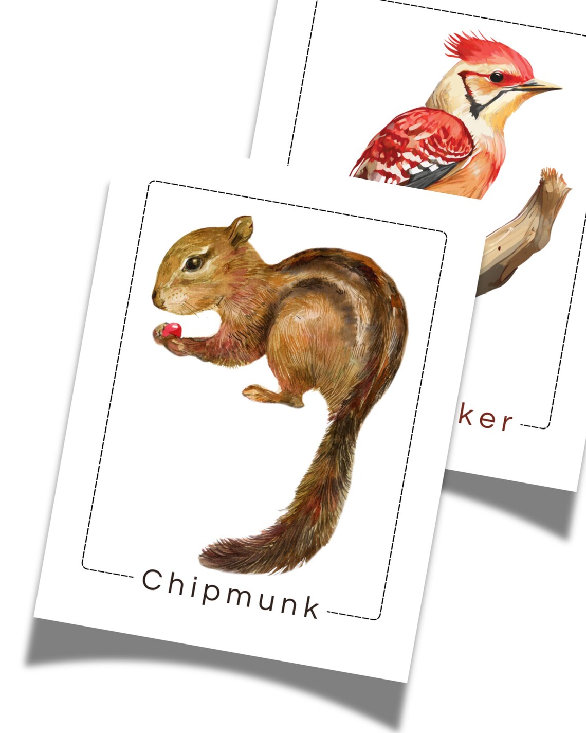 Printable Woodland Animal Flashcards for Kids | Montessori Forest ...