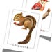 Printable Woodland Animal Flashcards for Kids | Montessori Forest ...