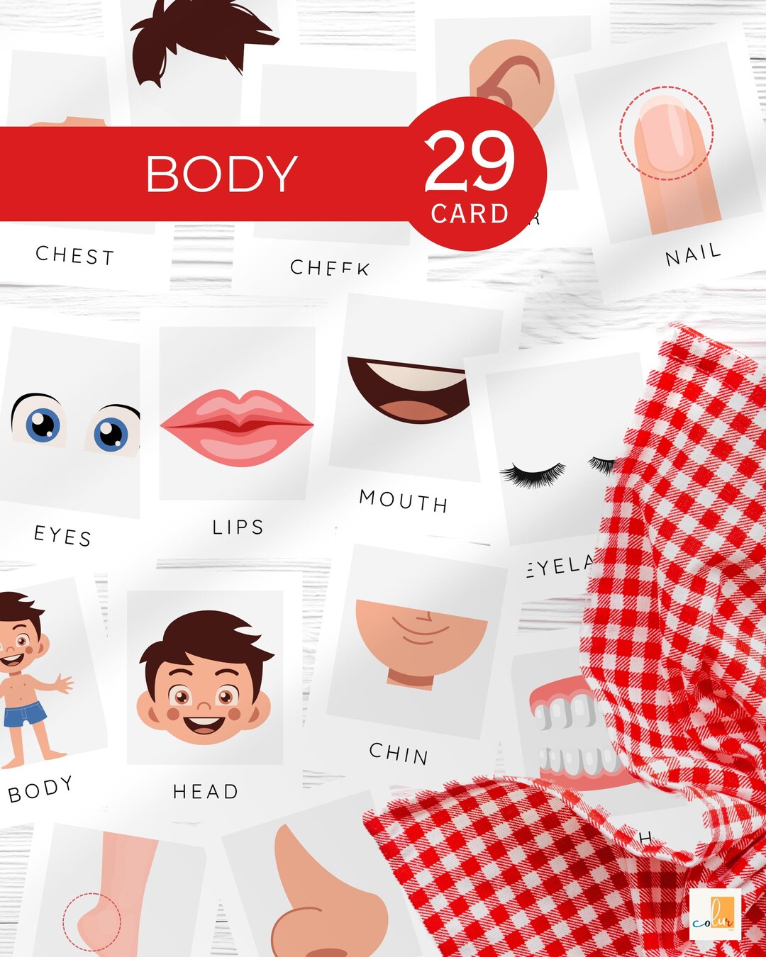 Printable Body Parts Flashcards for Kids | Montessori Learning Human ...