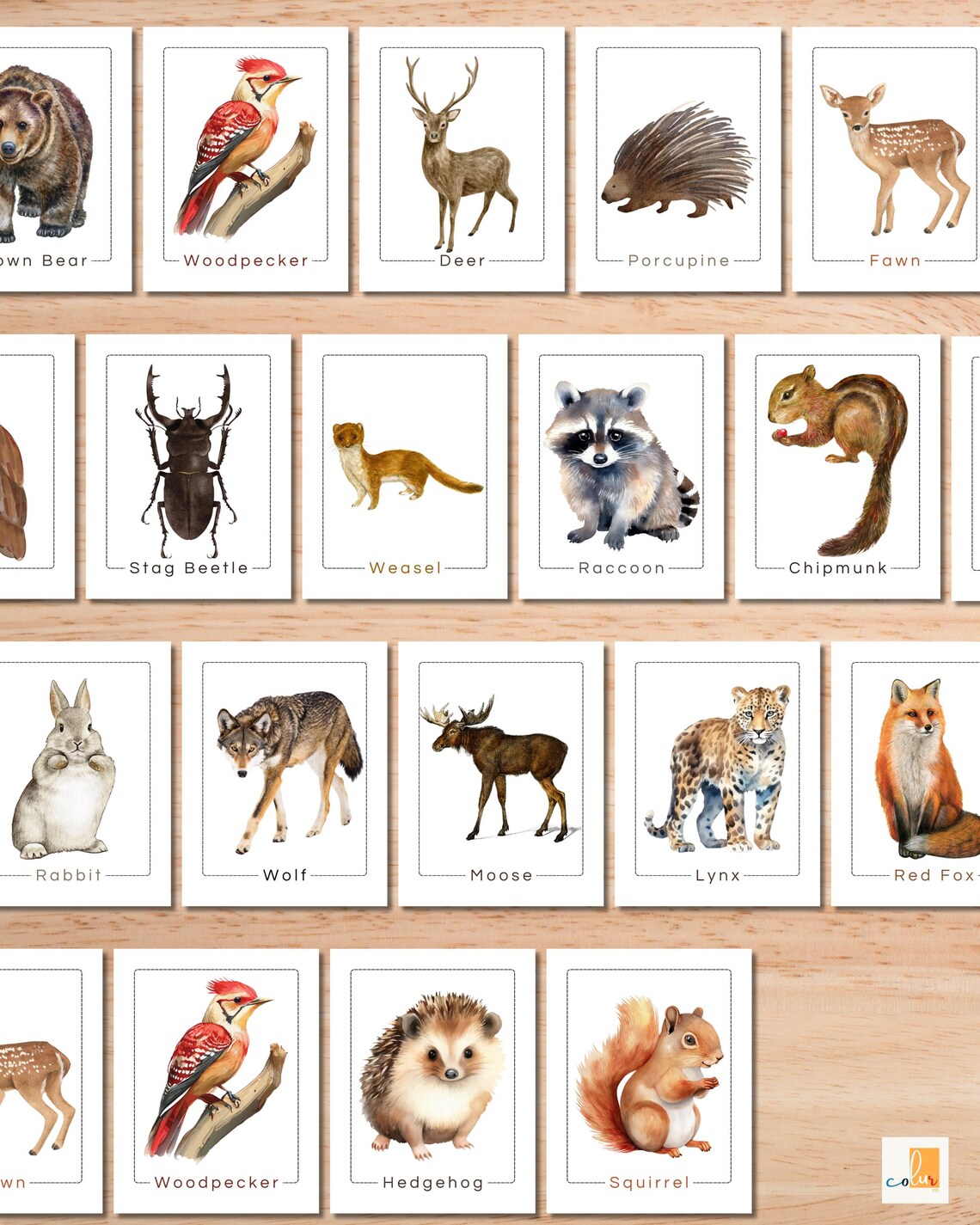 Printable Woodland Animal Flashcards for Kids | Montessori Forest ...