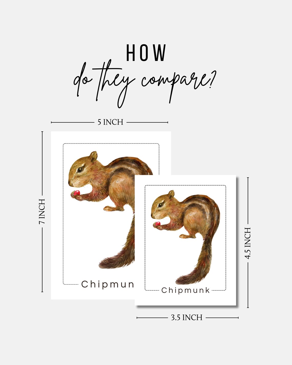 Printable Woodland Animal Flashcards for Kids | Montessori Forest ...