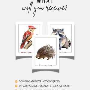 Printable Woodland Animal Flashcards for Kids | Montessori Forest ...