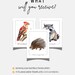 Printable Woodland Animal Flashcards for Kids | Montessori Forest ...